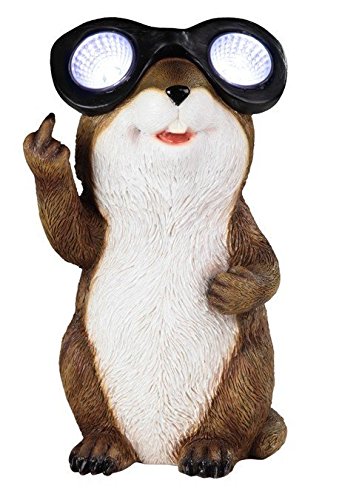 Buy StealStreet SS-G-74013 Brown and White Gopher with Solar Light ...