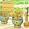 Amazon.com: Sungmor Ceramic Hand Painted Succulent Flower Pots, 9 Inch ...
