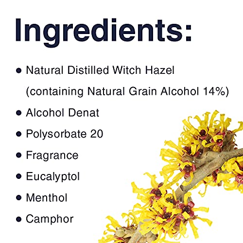 The 20 Best Dickinson's Facial Astringents of 2025 [Verified] - Cherry ...