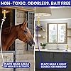Amazon.com : Fly Stick Sticky Fly Traps for Indoors and Outdoor 4pk ...