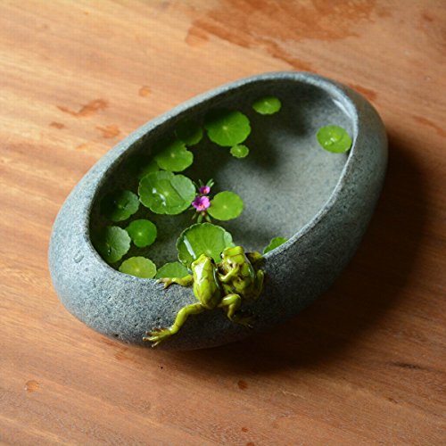 Top Collection Garden Frogs On Long Functional Stone Flower Pot Planter ...