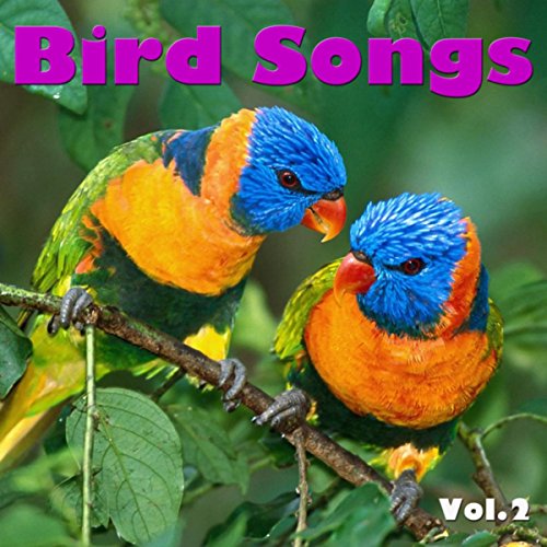 Play Bird Songs, Vol. 2 by The Wildlife on Amazon Music