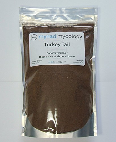 Amazon.com : Myriad Mycology Turkey Tail Mushroom Powder 16oz or 1lb ...