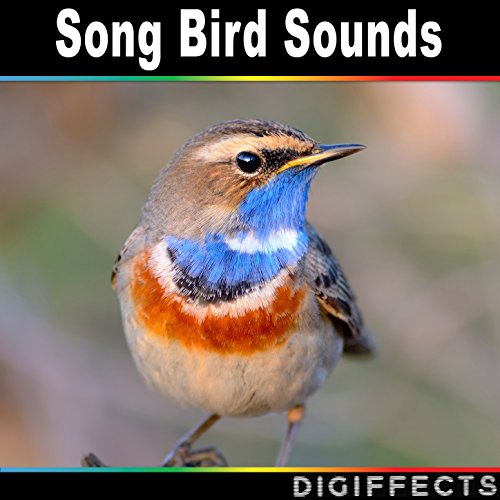 Amazon MusicでDigiffects Sound Effects LibraryのSong Bird Soundsを再生する