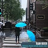 【発売日：2020年06月10日】・製造元:Nature Rain Melodies