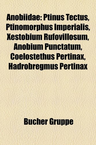 Anobiidae: Ptinus Tectus, Ptinomorphus Imperialis, Xestobium ...