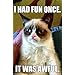 Amazon.com: Trends International Grumpy Cat - Fun Wall Poster, 22.375 ...