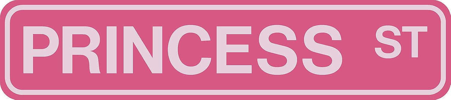 Amazon.com: Traffic & Warehouse Signs - Princess Street Sign Gameroom ...