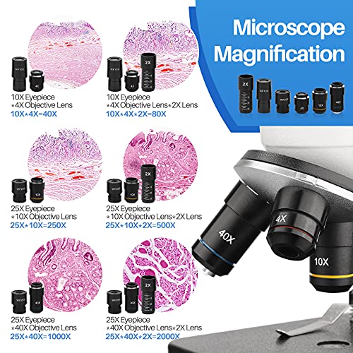 Snapklik.com : Microscopes 40X-2000X Dual LED Illumination Lab Compound ...