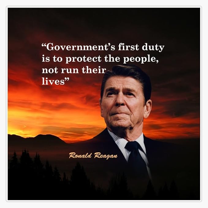 Amazon.com: Ronald Reagan Quote On Government Bumper Sticker Vinyl ...