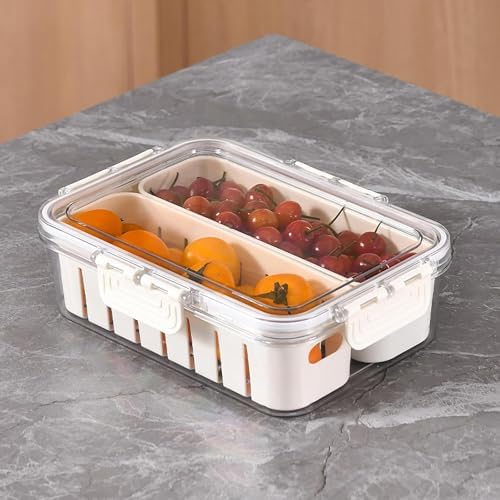 Buy YFXOHAR Fridge Storage Box with Lid & Handle | 4 Compartments ...