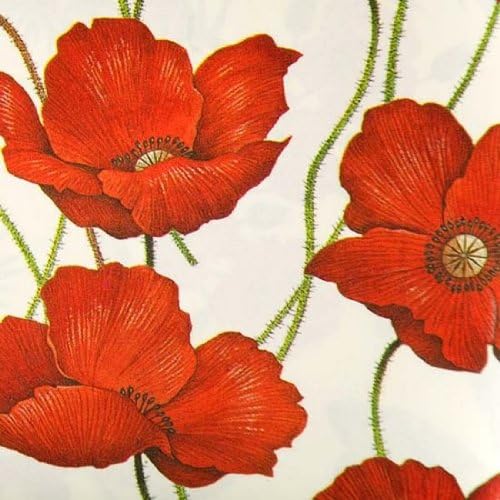 Amazon.com: Papaveri Italian Wrapping Paper : Health & Household