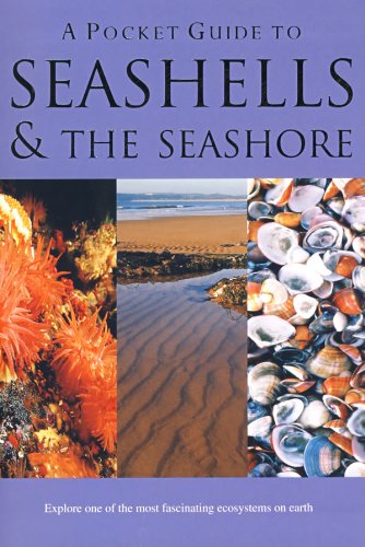 A Pocket Guide to Seashells & the Seashore (Pocket Guides): Hook ...