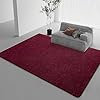 Amazon.com: DweIke Modern Area Rugs for Living Room Bedroom, 4x6 ...