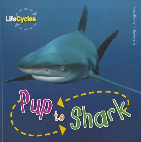 Pup to Shark (Life Cycles): Bedoyere, Camilla De La: 9781926853390 ...
