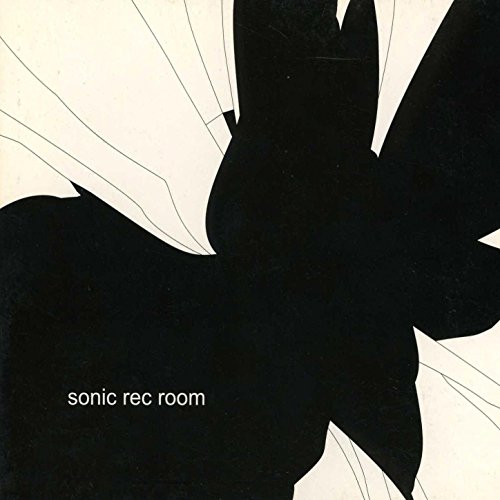 Amazon.com: Sonic Rec Room : VARIOUS ARTISTS: Digital Music