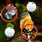 ・ブランド:Homedy Crafts・製造元:Homedy Crafts・モデル:Fish Exercise Ring and Filter Balls・製造元/メーカー部品番号:6・【健康なペット、幸せなあなた】 この水族館のおもちゃ、...