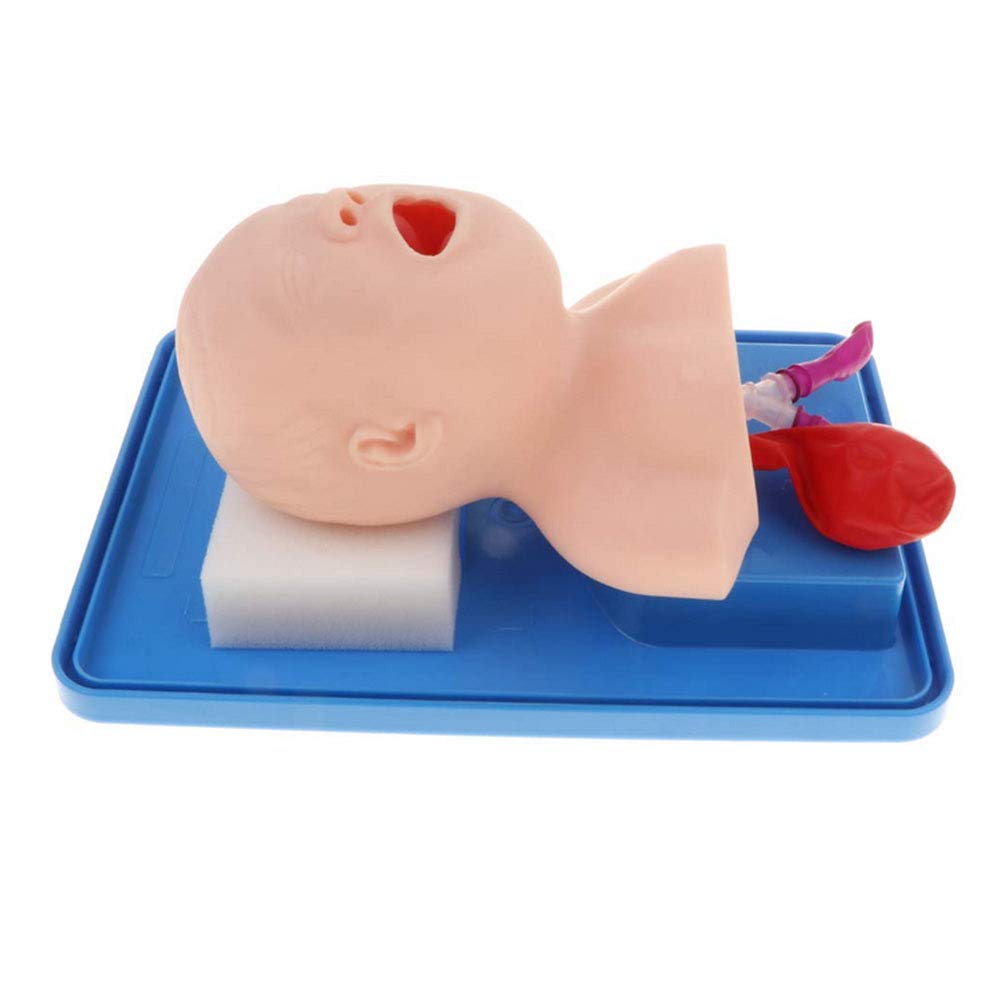 Infant Tracheal Intubation Training Simulator Model Lab Airway ...