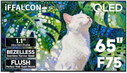 Amazon.com: iFFALCON 65-Inch Class QLED 4K Smart TV, Ultra-Slim Picture ...