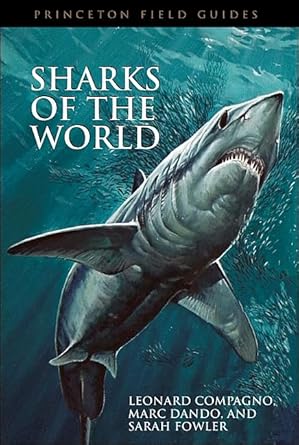 Amazon.com: Sharks of the World (Princeton Field Guides, 34 ...