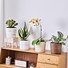 Amazon.com : Ekirlin 7 Inch Natural Travertine Textures Plant Pot ...