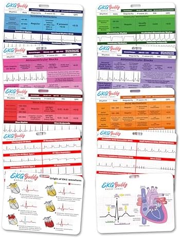 Amazon.com : EKG Buddy's 5 Card EKG Interpretation Badge Set - Doubled ...
