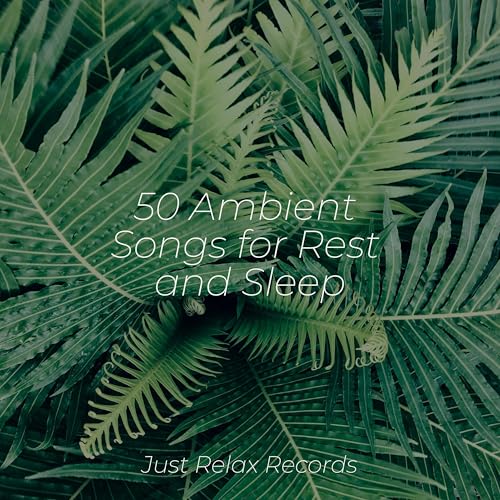 50 Ambient Songs for Rest and Sleep von New Age bei Amazon Music ...
