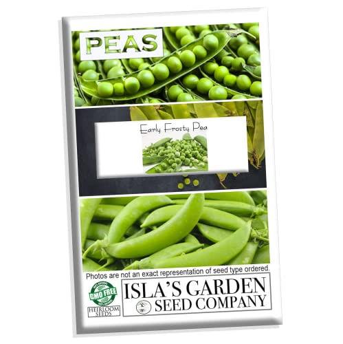 How to Grow Peas from Seed: No Green Thumb Required - Peace Love Garden