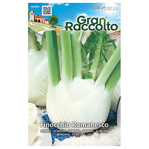 Coltivare finocchi: guida per principianti - Coltivare.info