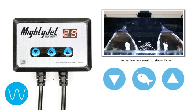 Watch Mighty Jet Video on Amazon Live