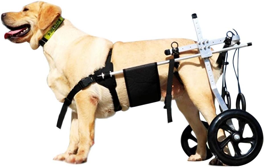 Amazon.com: Wheelchair for Large Dogs, Leg Brace for Dogs Back Leg ...