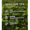 Amazon.com : LUCKY PLANT Fresh Live Moss Variety Pack - Ideal for DIY ...