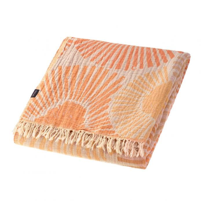 Proflax Decken – Die 15 besten Produkte im Vergleich - Hausbauberater ...