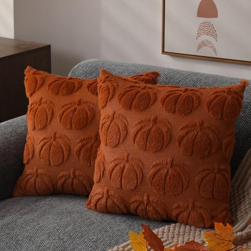 Amazon.com: DFXSZ Fall Pillow Covers 18x18 Set of 2 Fall Decorations ...