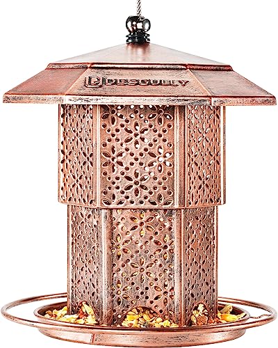 Top 10 Feeders For Small Birds of 2022 - Katynel