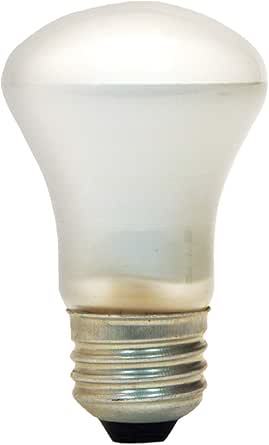 GE Lighting R16 Floodlight Light Bulb, 40-Watts, Soft White, Medium ...