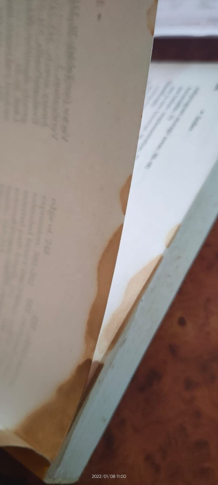 Data Structures and Program Design in C, 2e : KRUSE: Amazon.in: Books