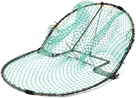 Amazon.com : Bird Pigeon Trap, Bird Net Starling Traps, Humane Live ...