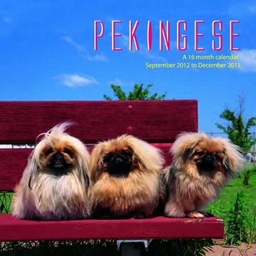 Pekingese 2013 Wall Calendar #MGDOG37: Magnum: 9781617911781: Amazon ...
