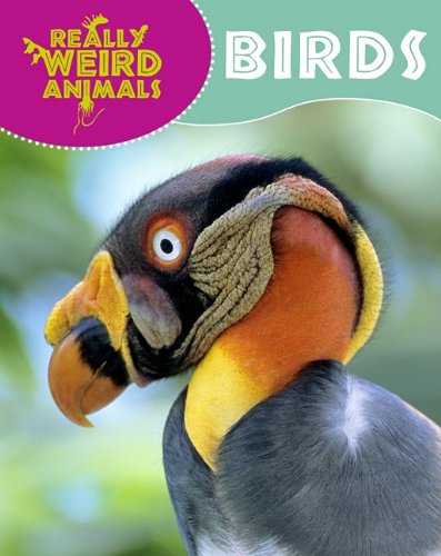 Birds (Really Weird Animals) : Hibbert, Clare, Hibbert, Claire: Amazon ...