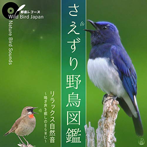 Play Nature Bird Sounds: Singing, Chirping Birds for Relax, Sleep ...