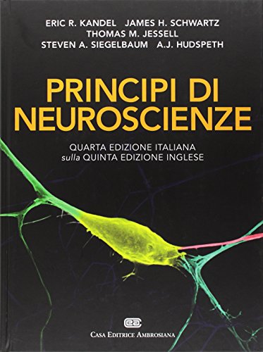 I 12 migliori libri sulle neuroscienze