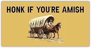 Amish Travel: Cars And The Plain Community | QuartzMountain