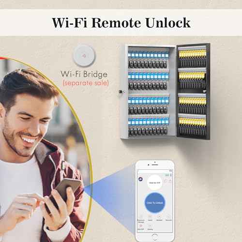 Snapklik.com : WeHere 96 Key Lock Box Wall Mount