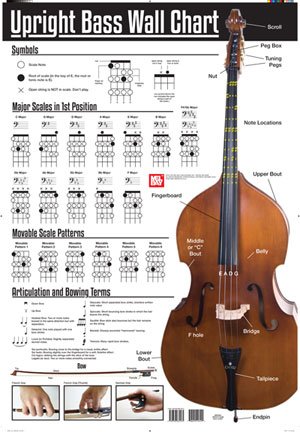 Amazon | Upright Bass Wall Chart | Instruction & Study