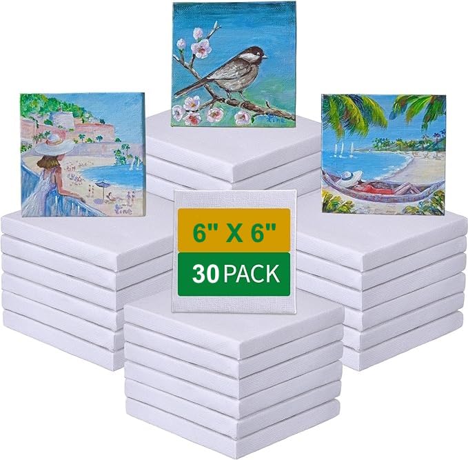 SKYHawk Pre-Primed Cotton Canvas Board | Pre-Stretched Canvas Penal for ...