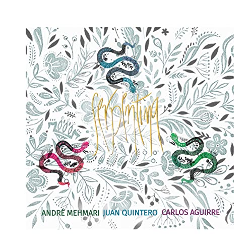 Amazon Music Unlimited - André Mehmari, Carlos Aguirre & Juan Quintero ...