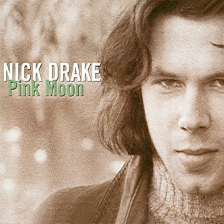 Pink Moon: Holm Stef Ann: 9780739446447: Amazon.com: Books