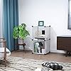 Amazon.com: C&AHOME Cube Storage, 2-Cube Organizer Unit, Plastic Closet ...