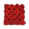 Amazon.com: GLAMOUR BOUTIQUE Preserved Roses in a Box - Gifts for Her ...
